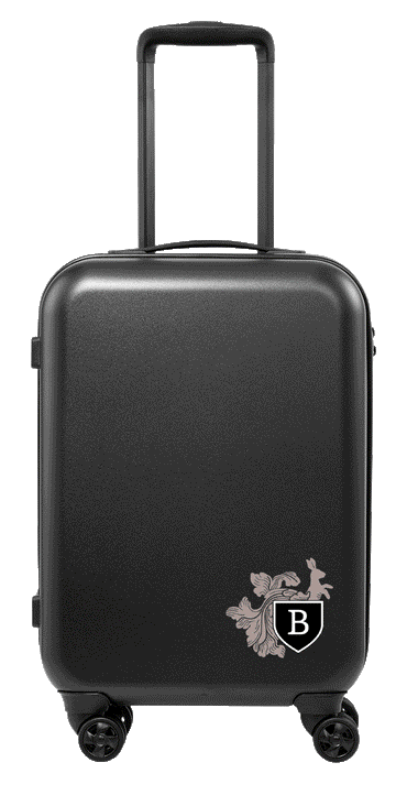 Cabin trolleys, high-quality suitcases and leather bags from...