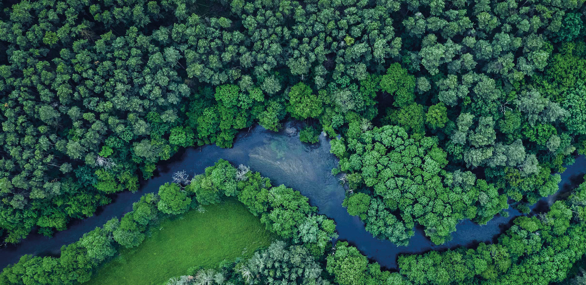 Koffer kaufen - Pack Easy - Schweizer Gepäck – PACK EASY